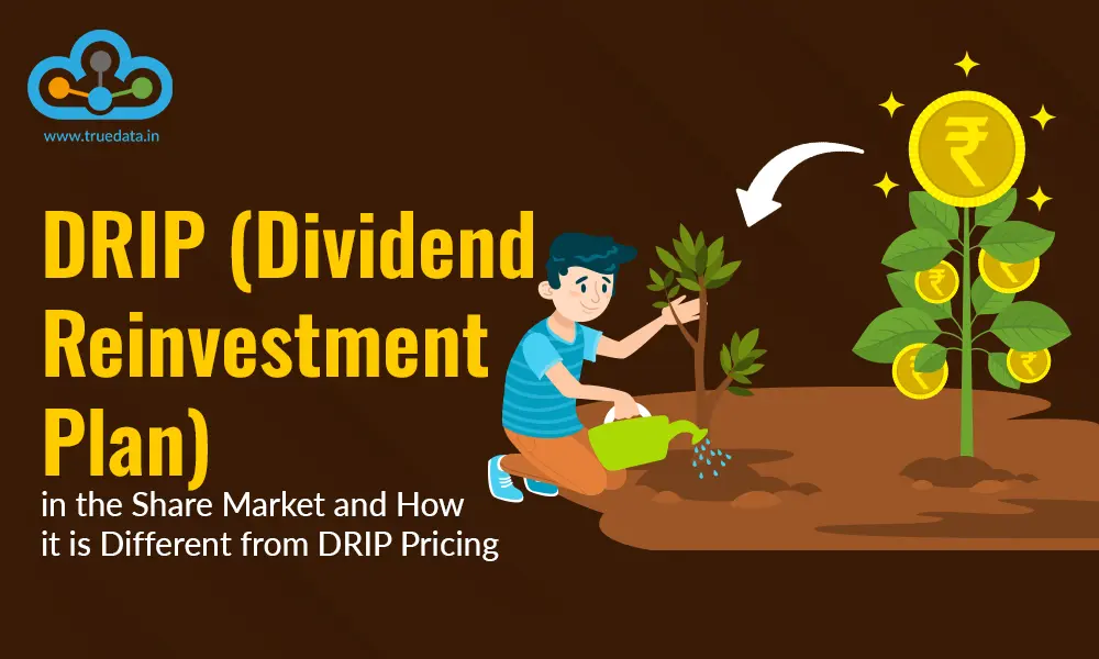 DRIP (Dividend Reinvestment Plan) and How it is Different from DRIP Pricing