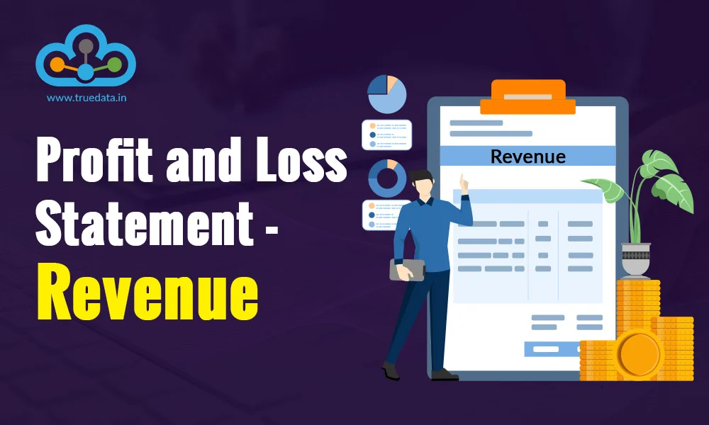 Understanding Profit and Loss Statement with an Example