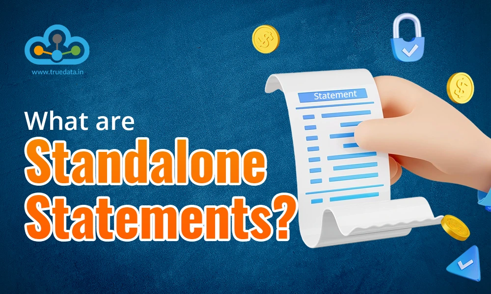 What are Standalone Financial Statements of a Company?