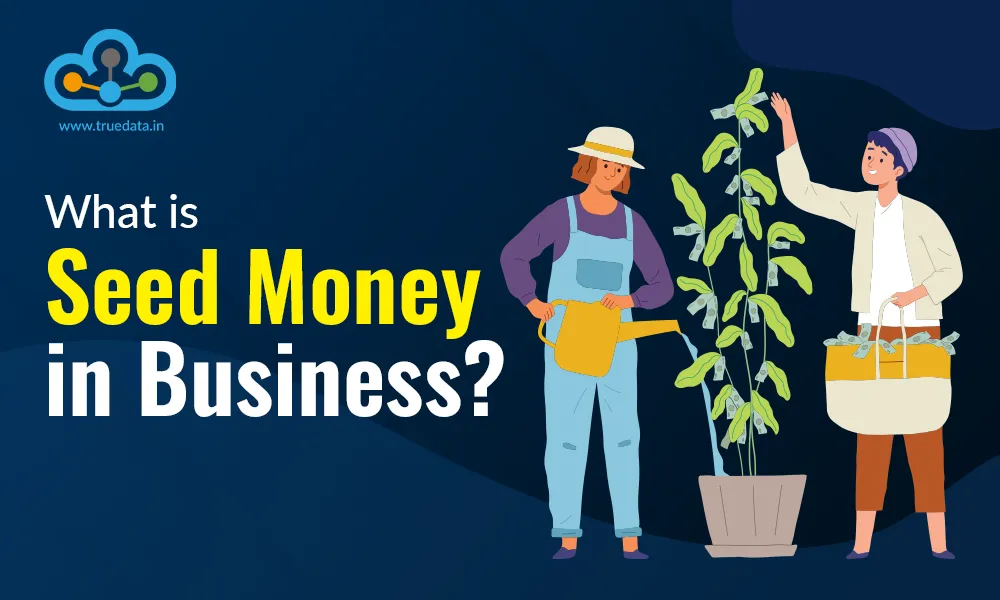 Seed Money in Business: Meaning, Types & How Startups Get Funding